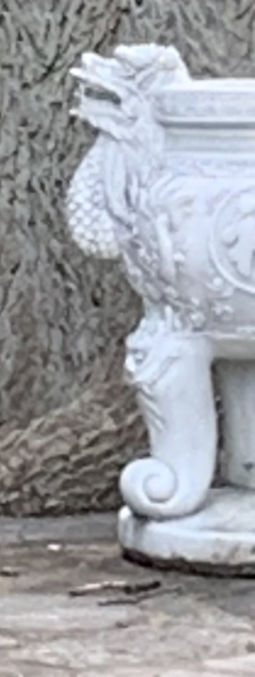 Snow Lion (updated) | Life Matters