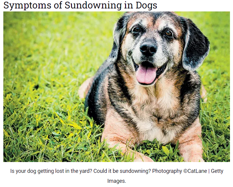 Mar 3 – Sundowning | Life Matters