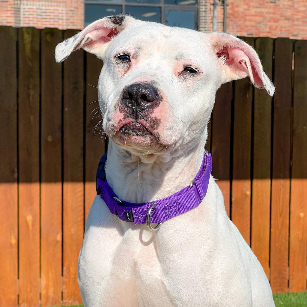 May 18 – Fur Friends | Life Matters