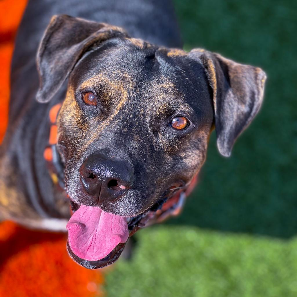 Jun 15 – 3 + 1 = JOY | Life Matters