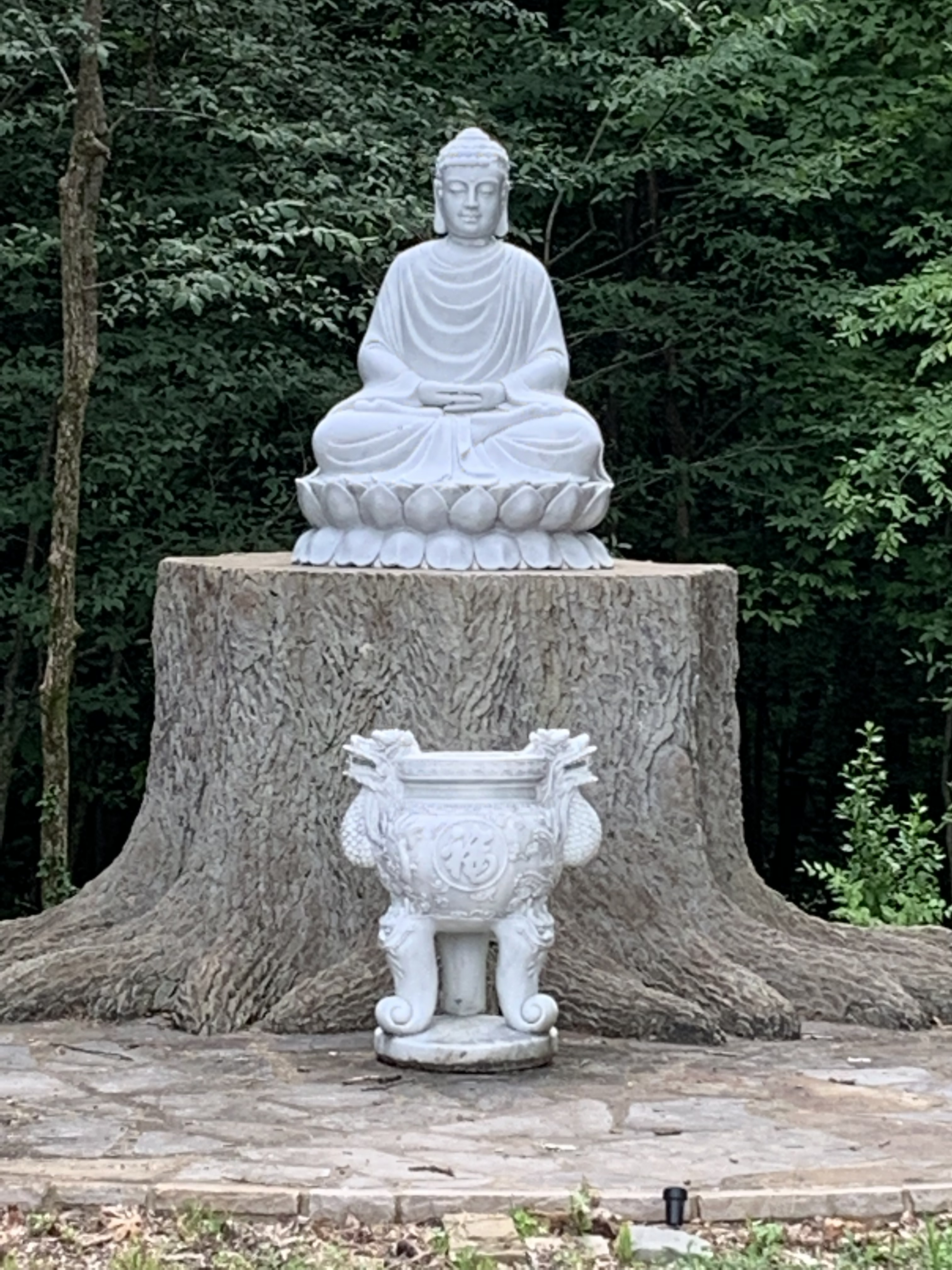 How to Find Inner Peace – the Buddhist Way Excerpts | Life Matters